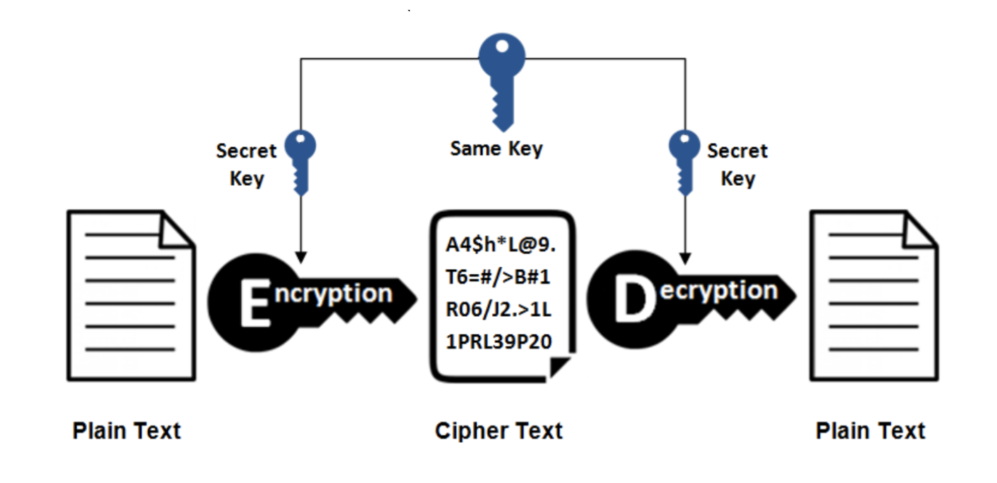 Network Security and Cryptography | 50.005 CSE