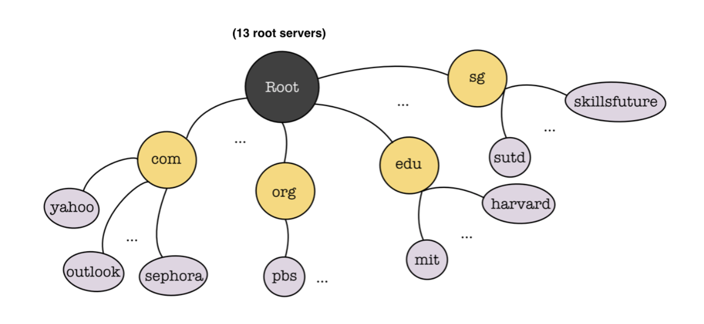 Internet Naming And Addressing 50005 Cse 3589