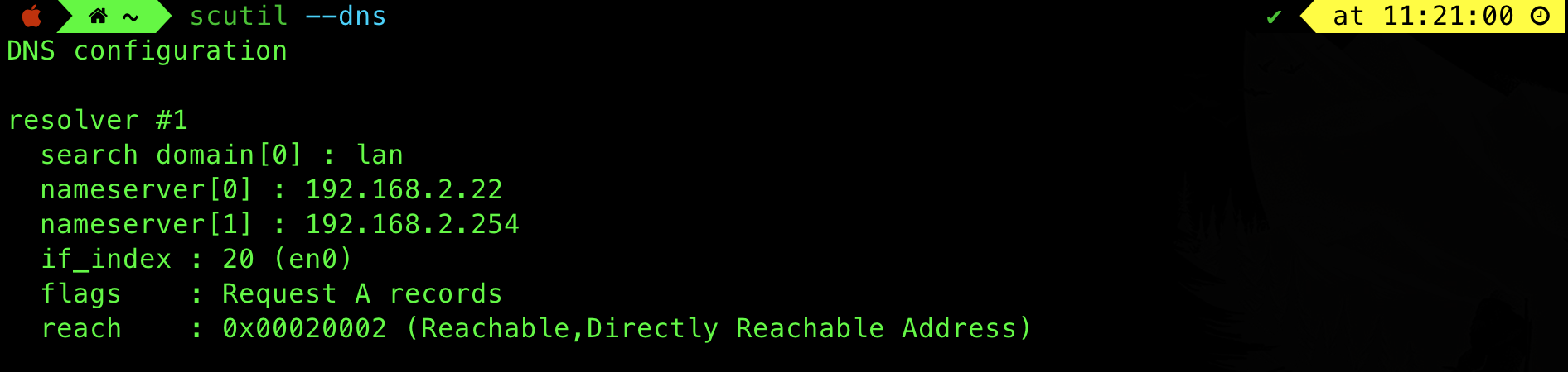 DNS Records and Protocol | 50.005 CSE