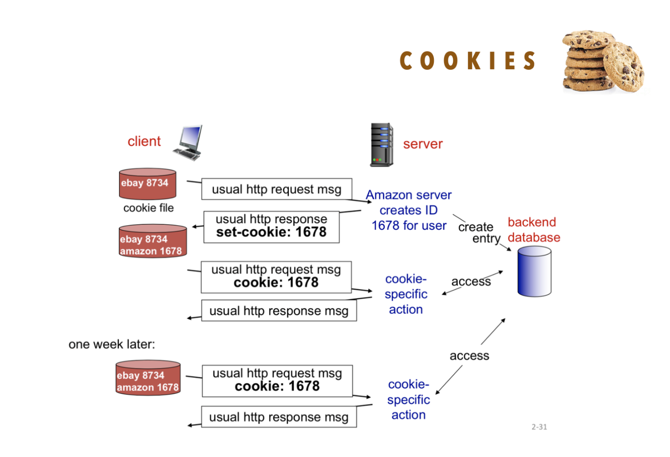 HTTP and The Web | 50.005 CSE