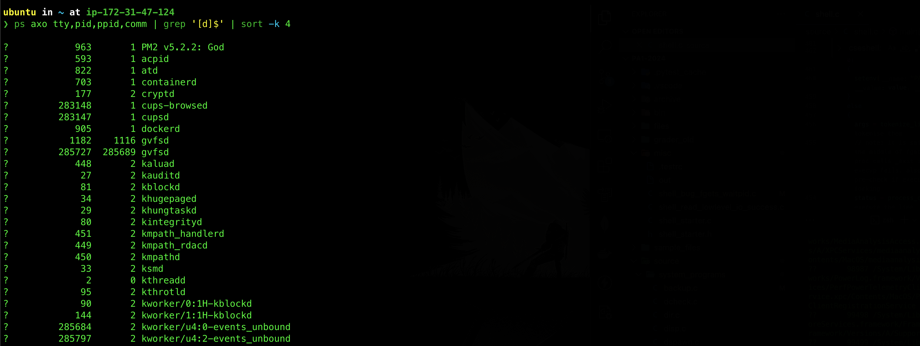 System Programs | 50.005 CSE